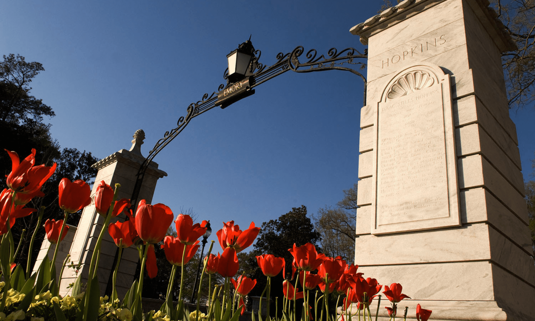 Inside Emory Admission